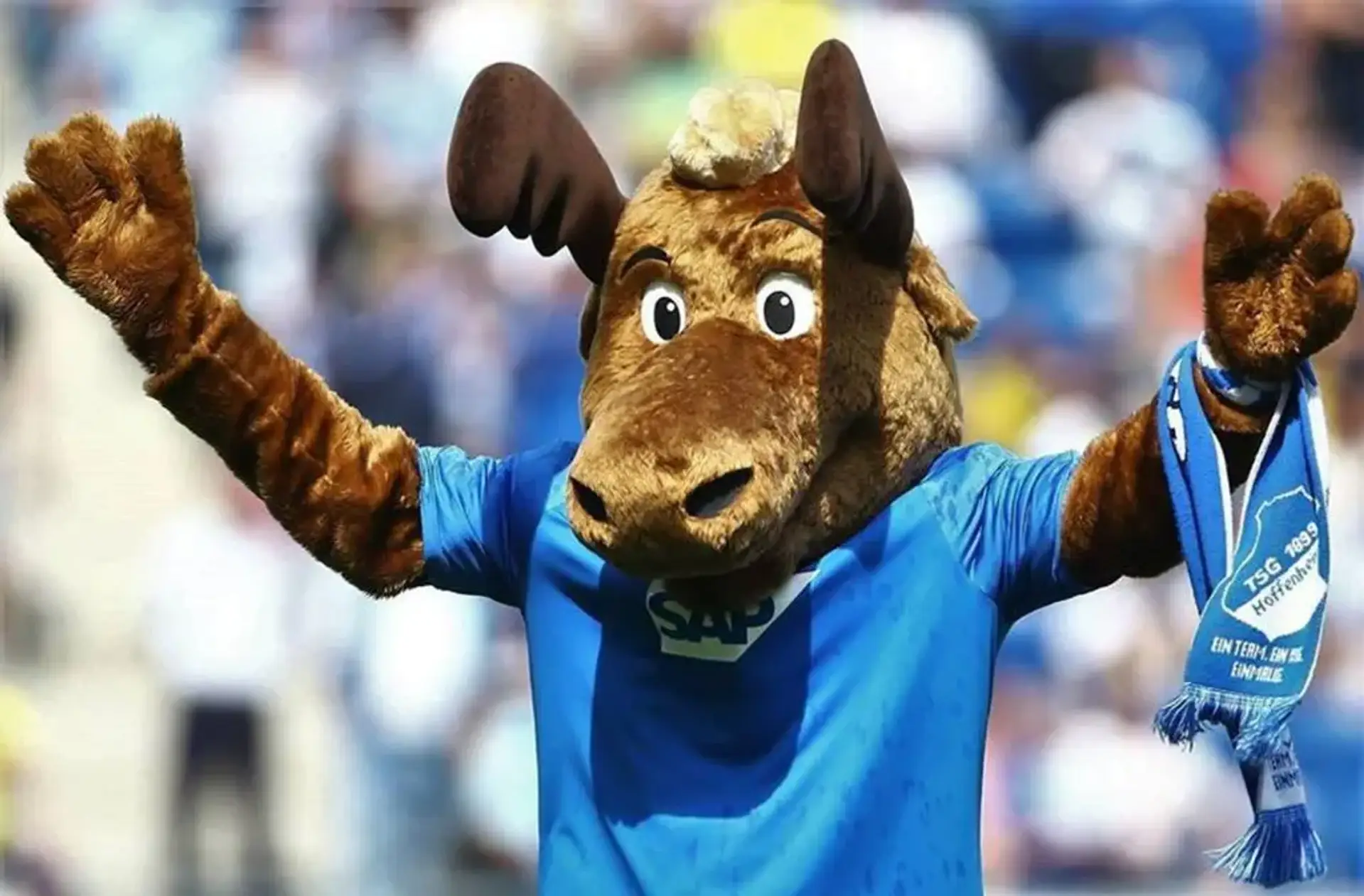 Rangliste der Bundesliga-Maskottchen: Berni ist bei den Bayern-Fans ...