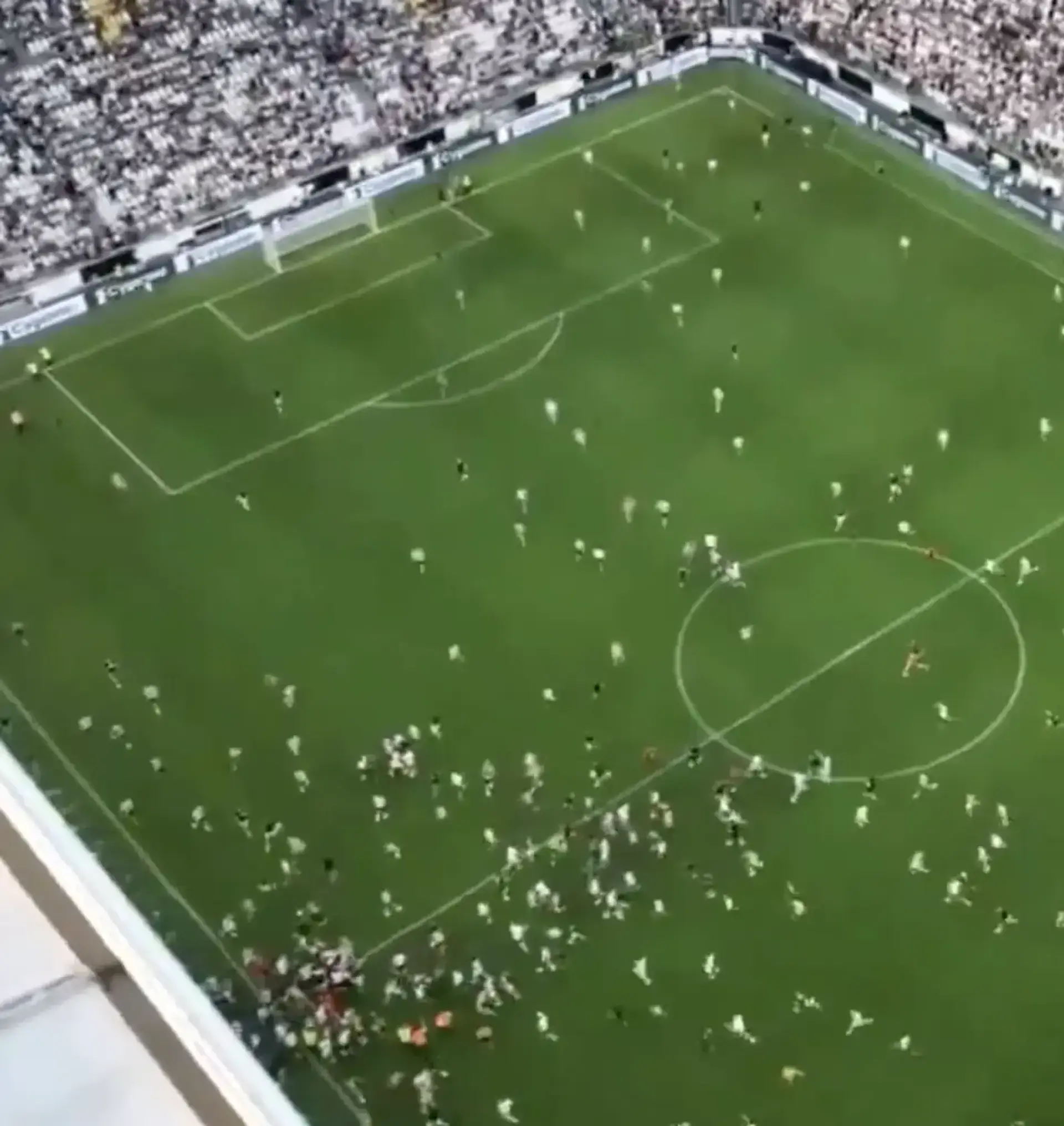 Juventus fans flood Allianz Stadium pitch mid-game vs Next Gen in ...