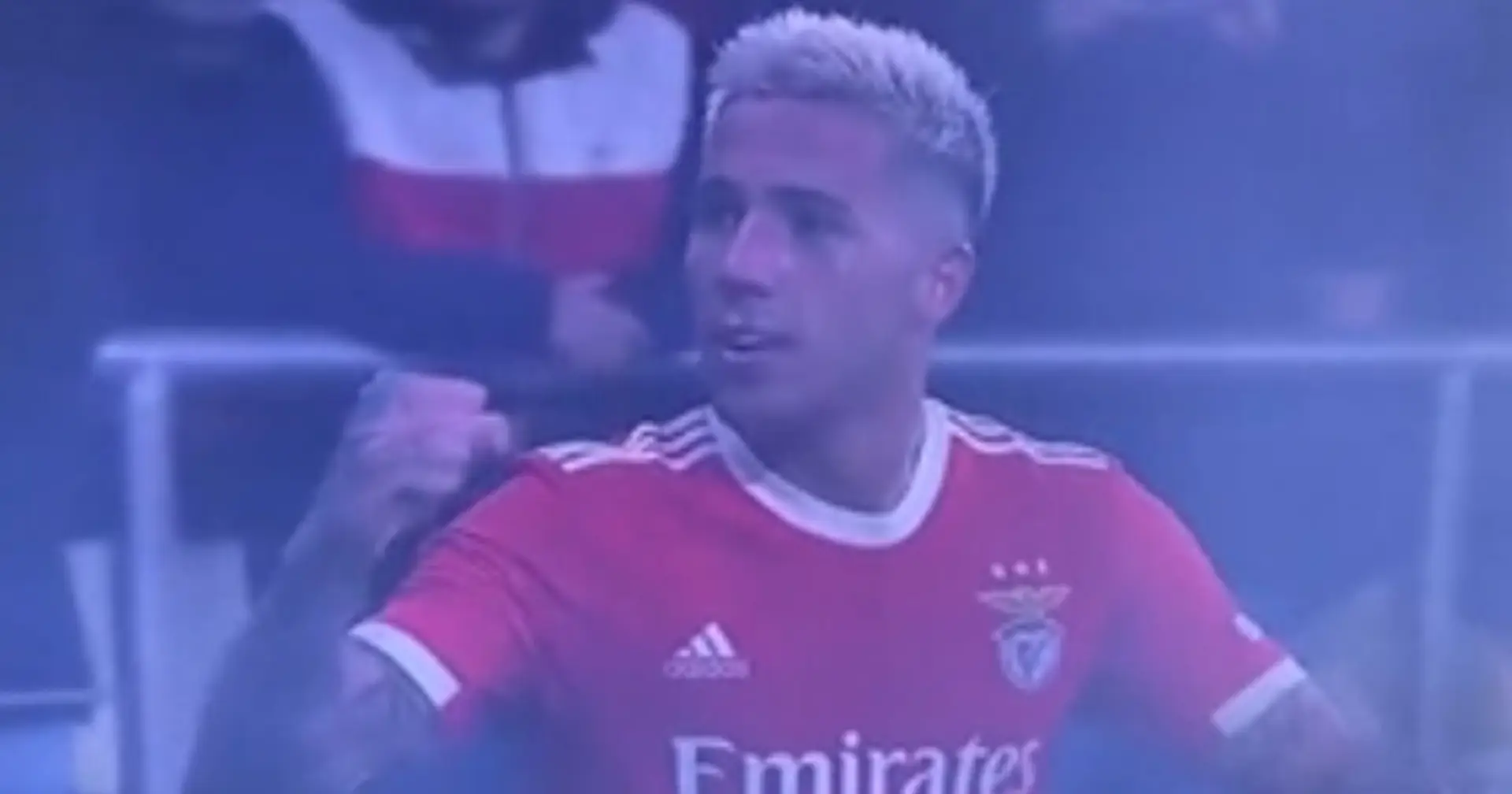 Spotted: Chelsea-linked Enzo Fernandez hints at Benfica stay with clear ...