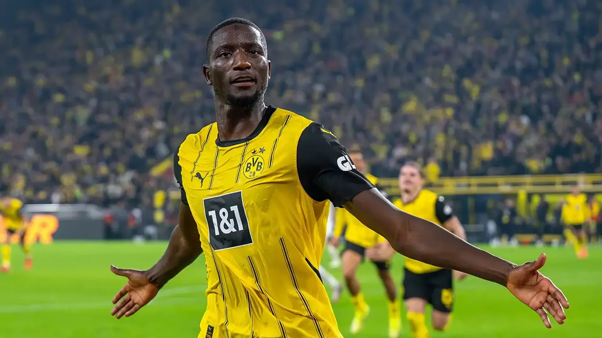 Serhou Guirassy emerges as transfer target for Tottenham - Football ...
