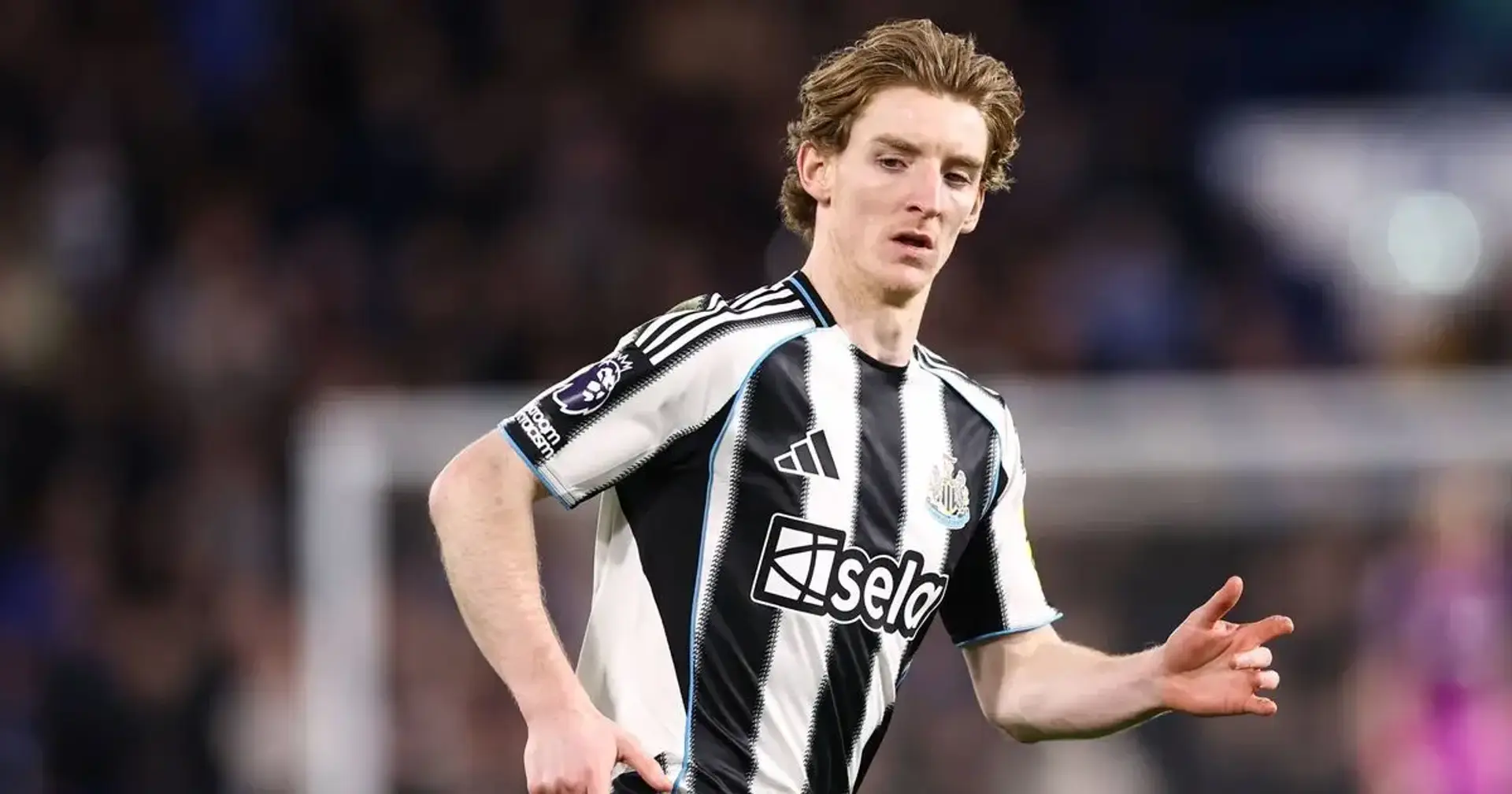 Anthony Gordon keen to leave Newcastle this summer – reports - Football ...