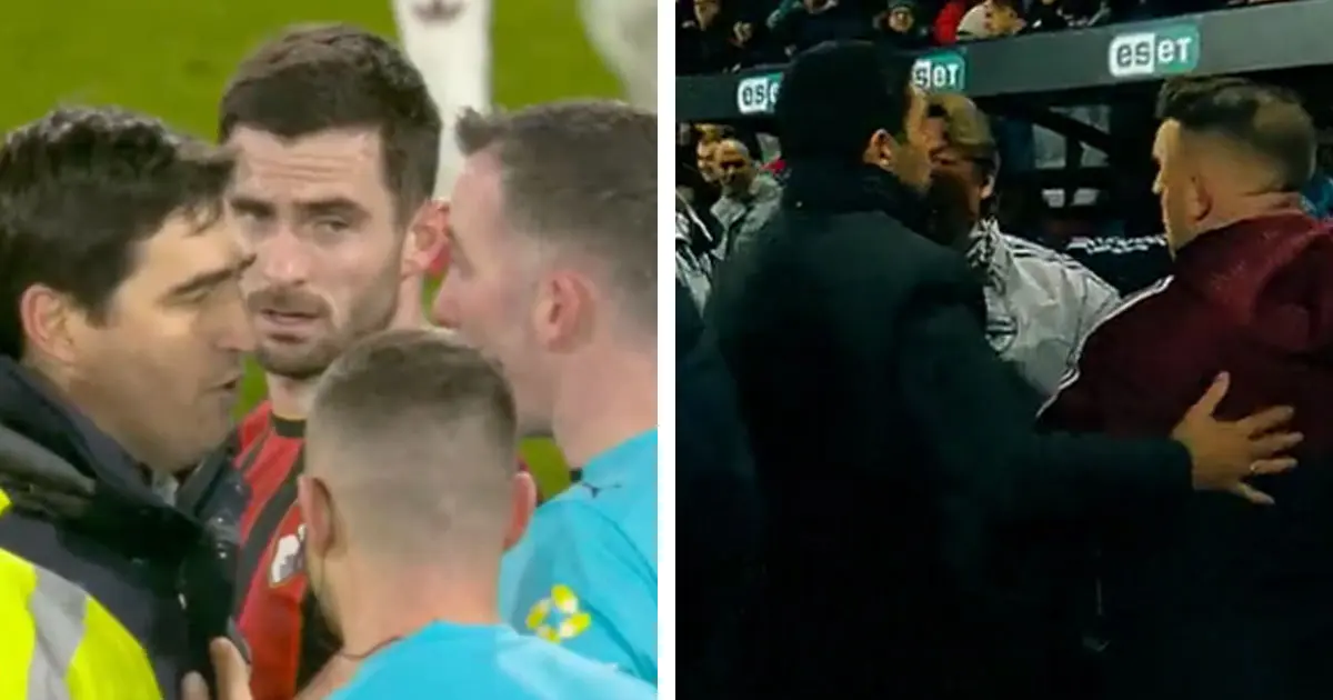 Caught on camera: Furious Gabriel Heinze forced to be held back by ...