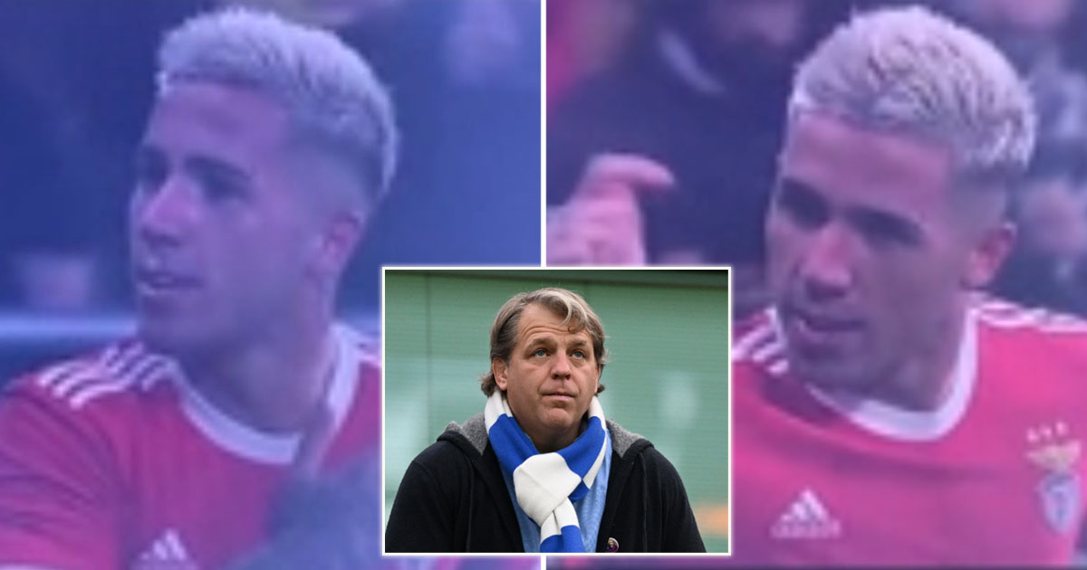 Spotted: Chelsea-linked Enzo Fernandez hints at Benfica stay with clear ...