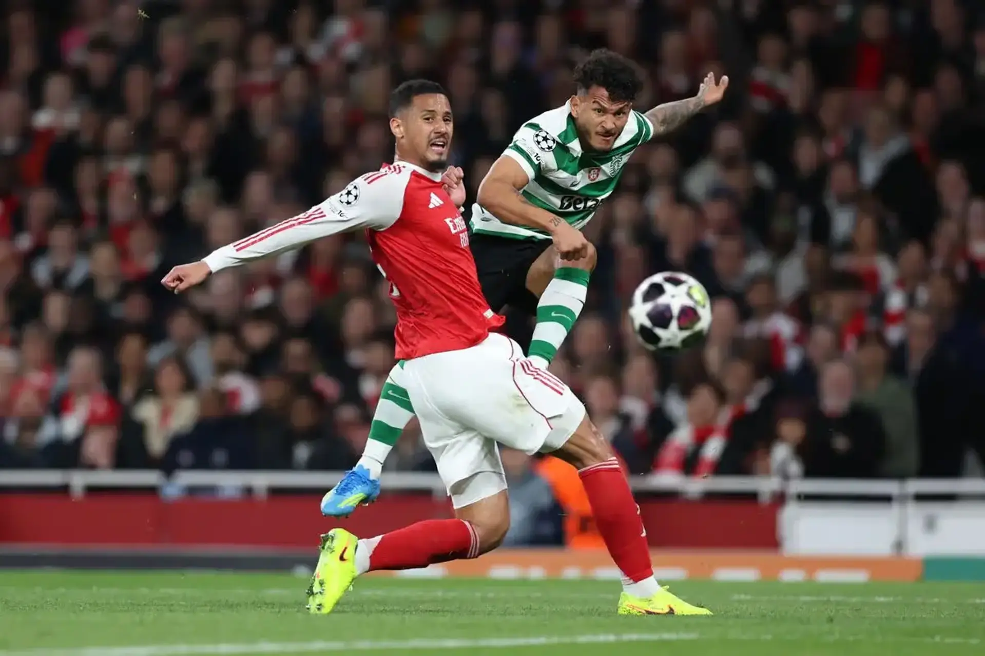 David Raya one game from making Arsenal history in the Champions League ...