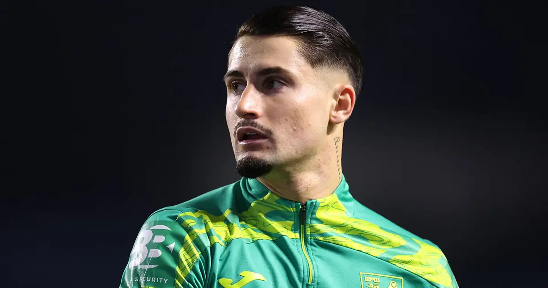 Porto complete €16.5m signing of Borja Sainz from Norwich City ...
