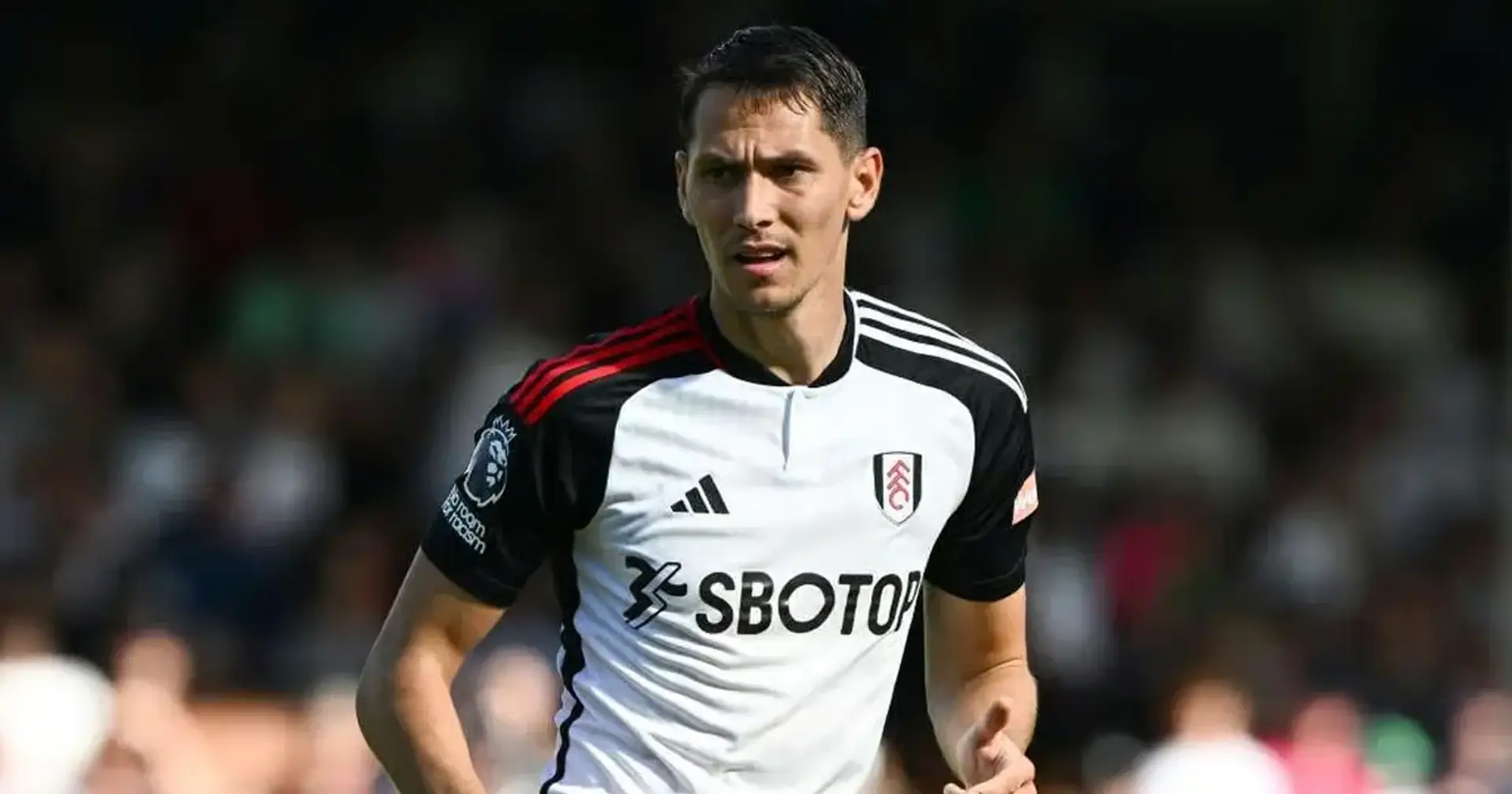 Fulham midfielder Sasa Lukic sidelined for up to six weeks with ...