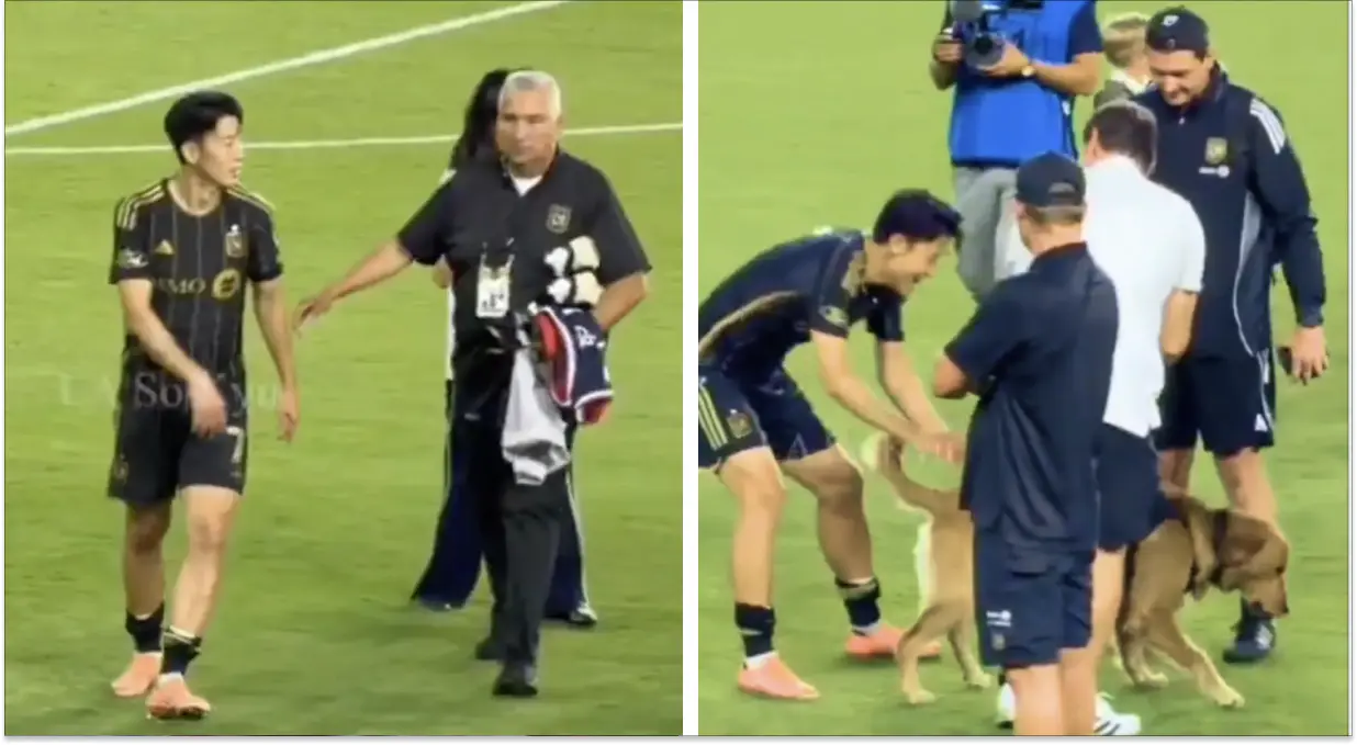 🐶 Heung-Min Son's adorable moment with LAFC’s mascot dog Indy goes ...
