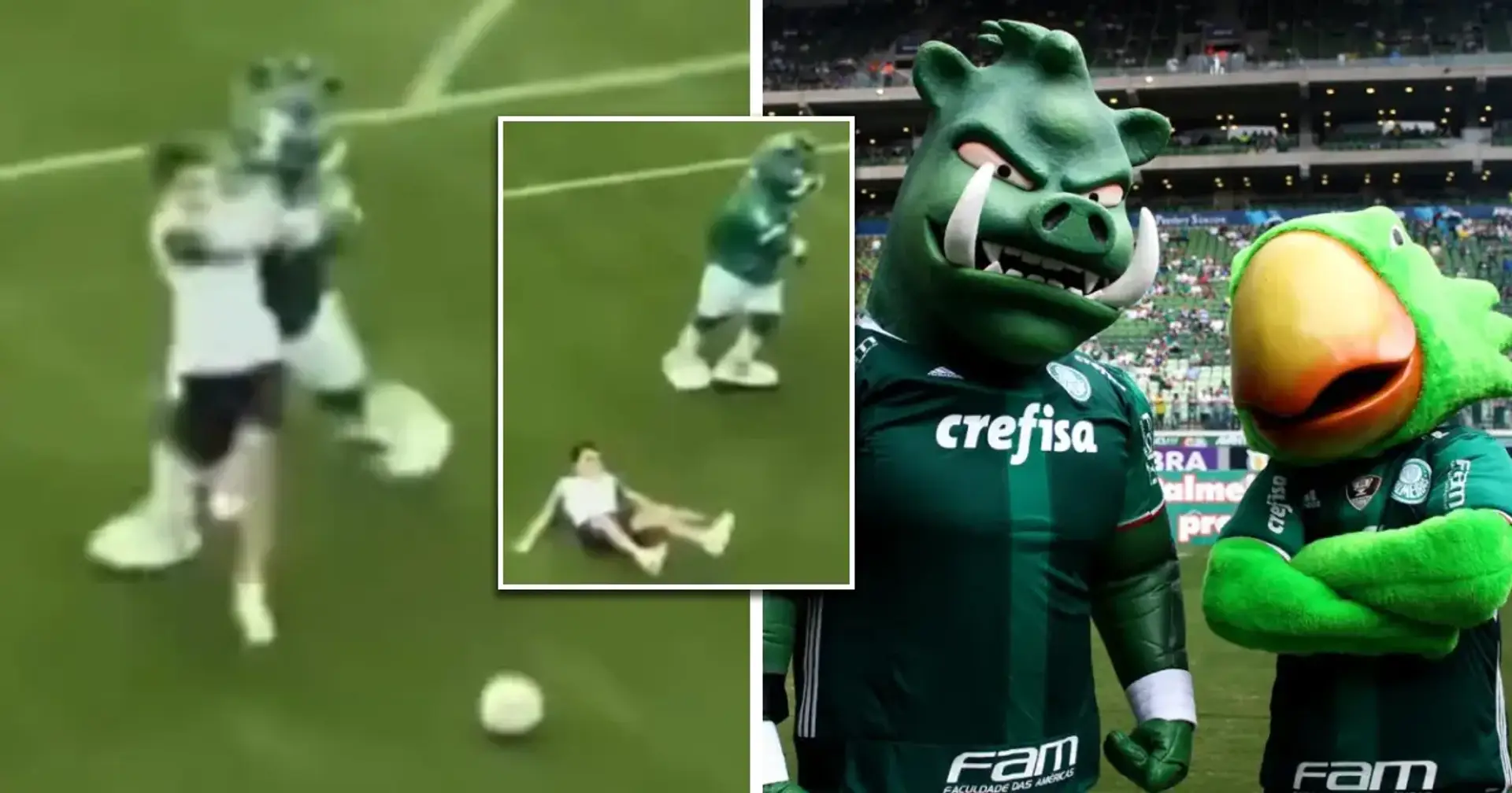 No mercy: Palmeiras mascots destroy poor fan who was asked to take part ...