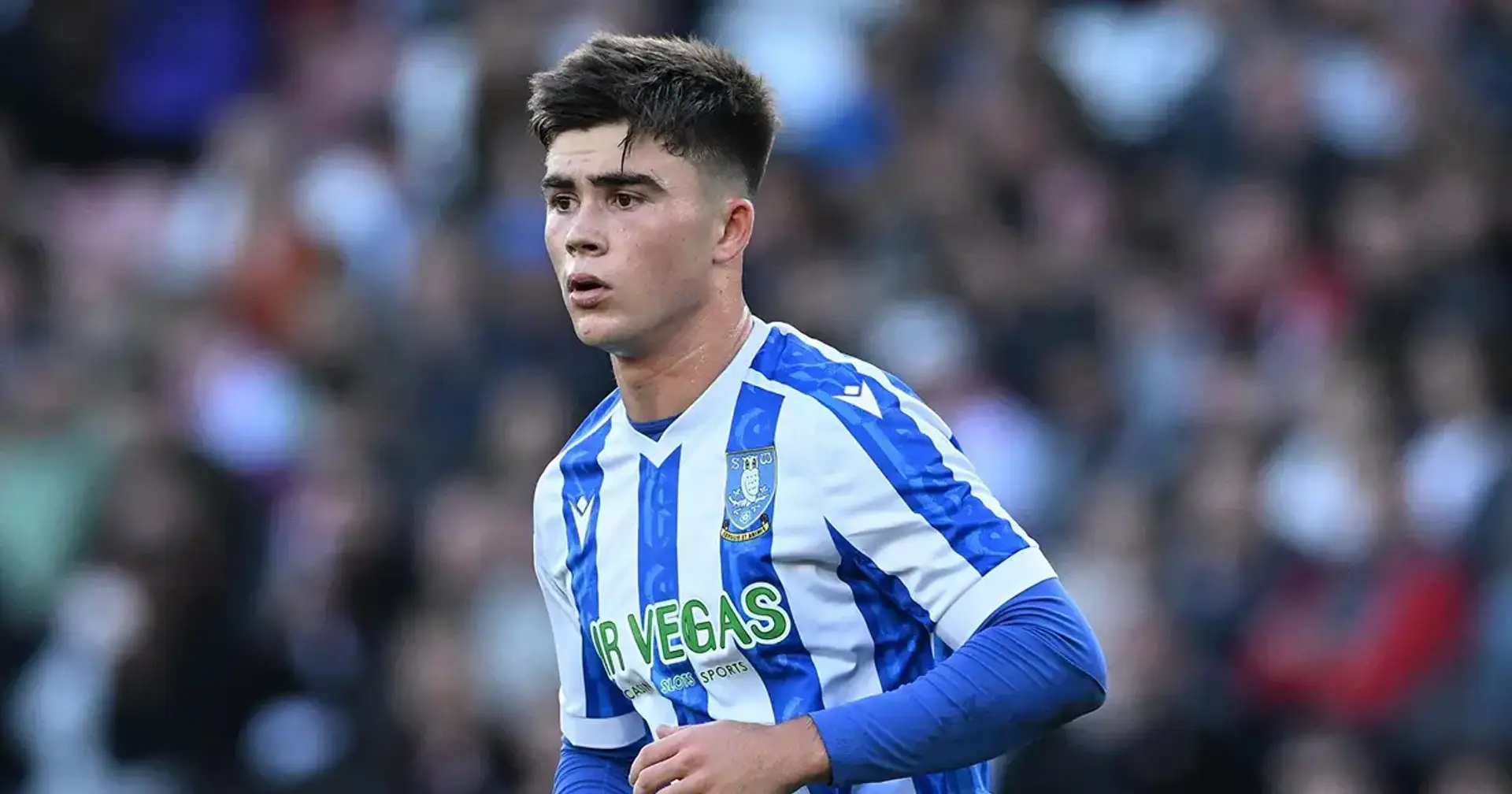 Sheffield Wednesday Transfers 2026 Winter, News & overview